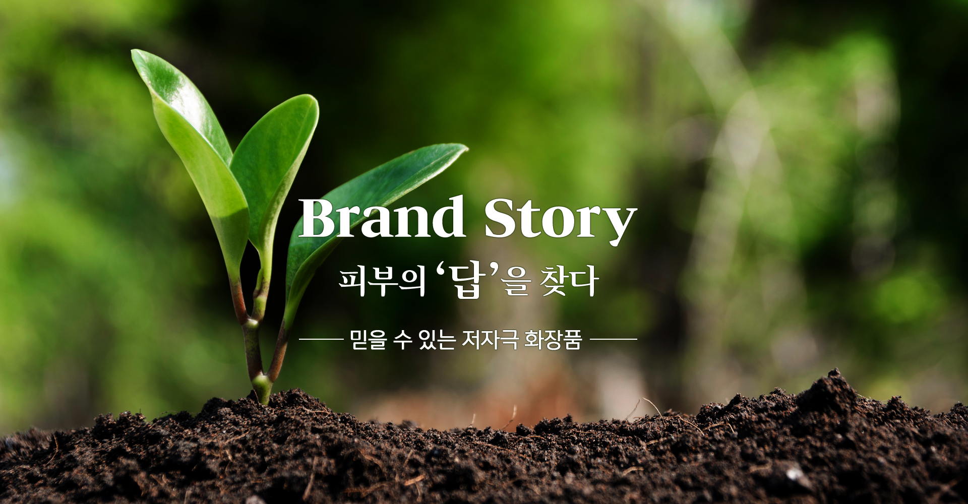 Brand Story brand-story